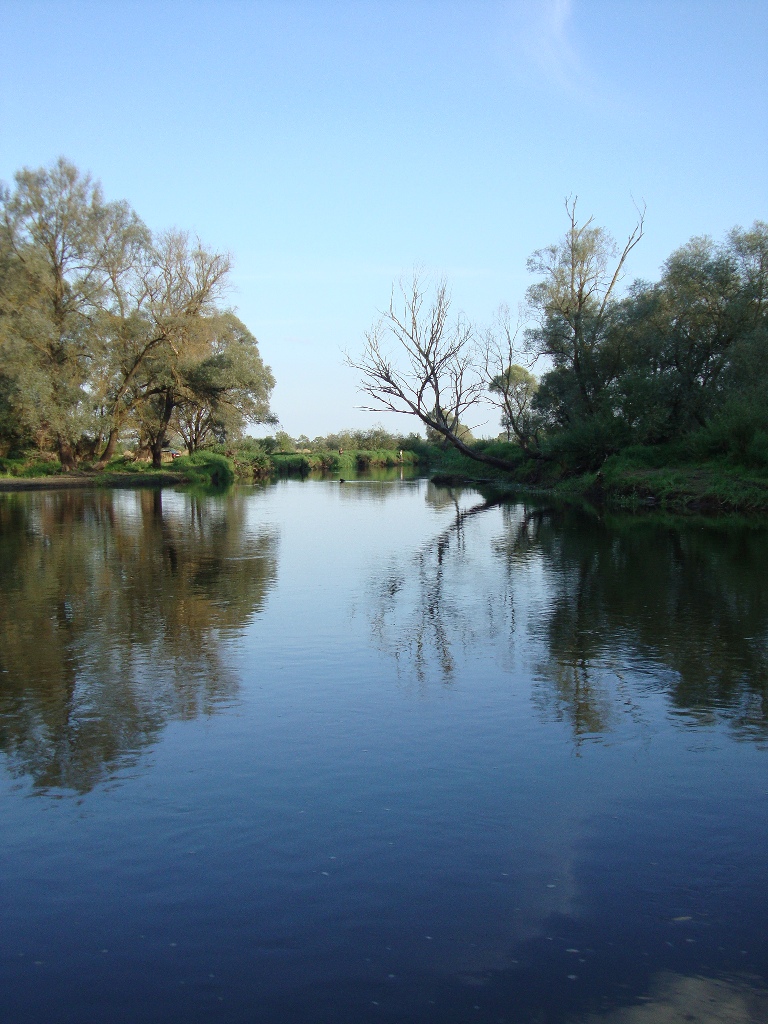 Prochownia w Terespolu: Tym razem Neple.