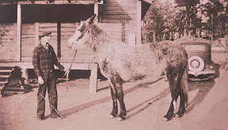 Crain Family : The Rev. Homer Crain