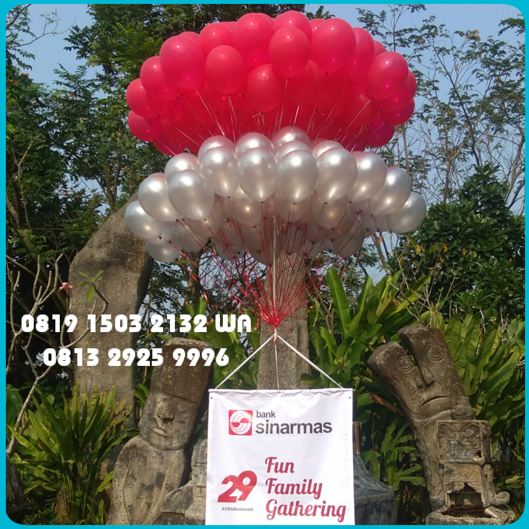 Jual Balon Gas | Balon Gas Helium | Balon Gas Pelepasan - Nararya Ballon