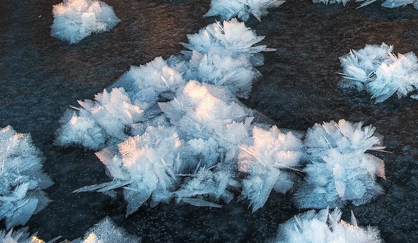 Ice Flowers