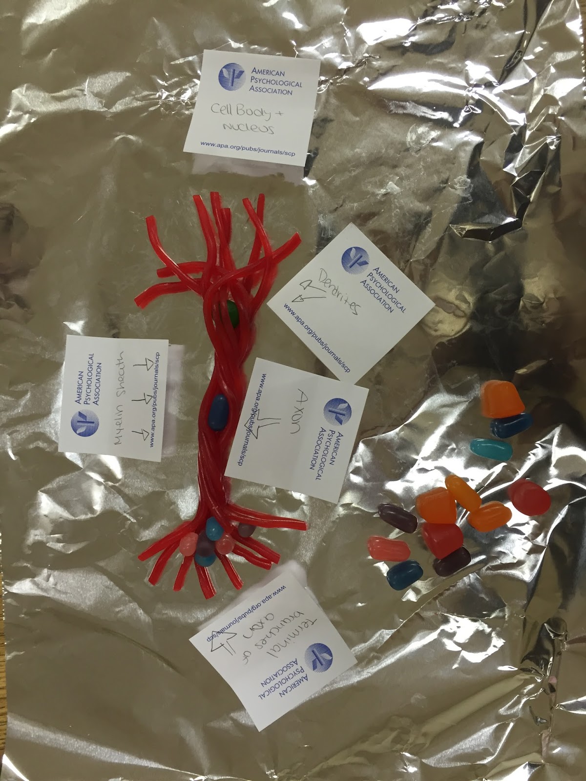 BD PSYCHOLOGY CLASS 2015-2016: Candy Neuron Project