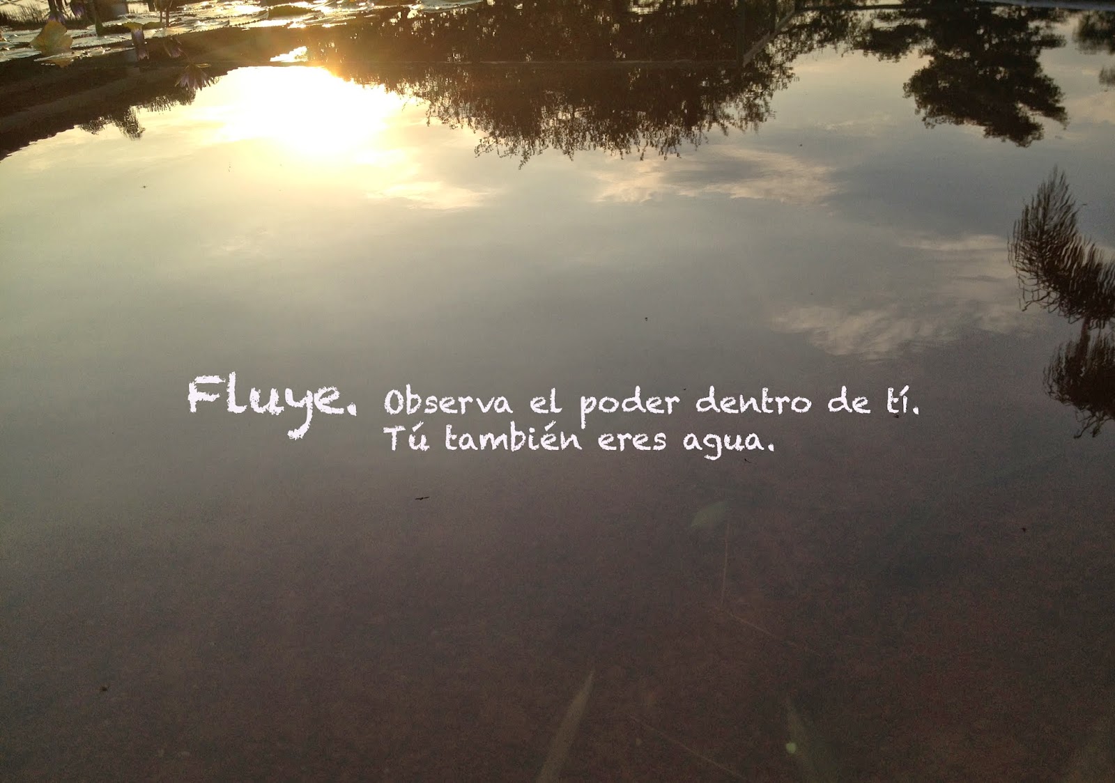 Catarsis del Alma: El Arte de la palabra: Lo que fluye no muere