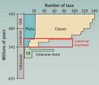 Examining the origins debate, part 5