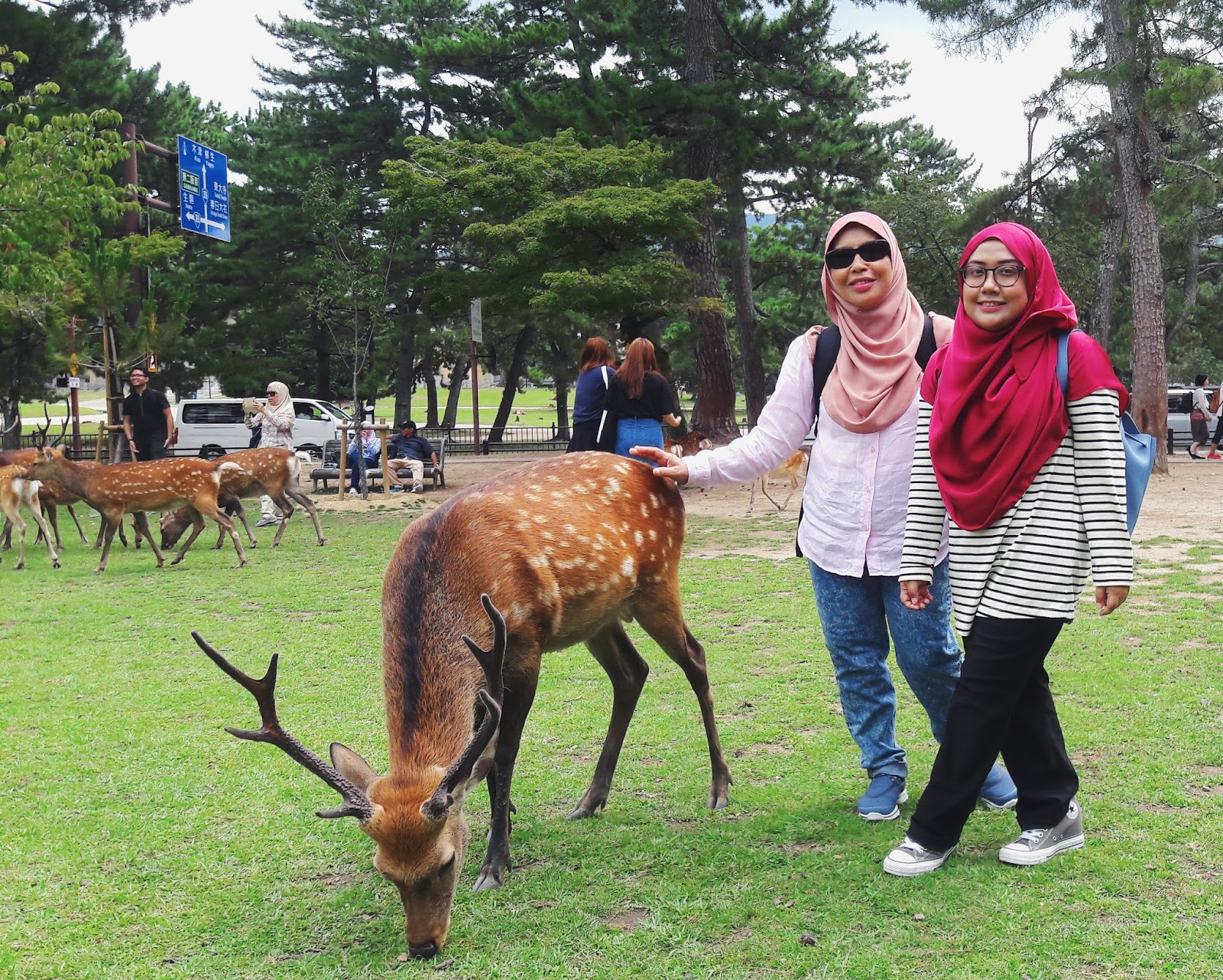 [JALAN JEPUN] : BANDAR RUSA TERBESAR DI JEPUN (Nara Park) - faraamusa ...