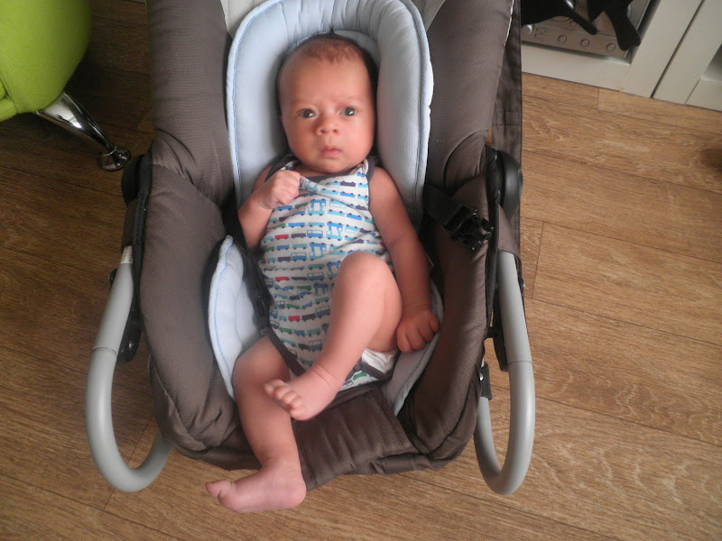 My Cooking and My Garden: All About Milo Isaac