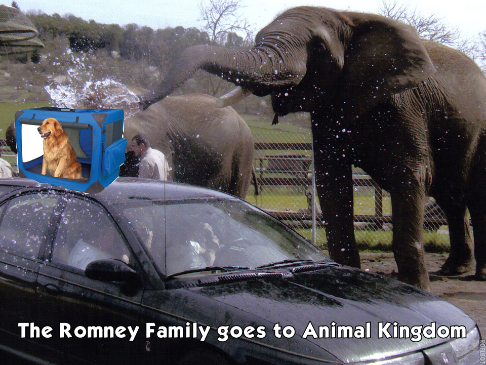Pick's Place Archive: Mitt Romney's Dog: An Investigative Photo Essay