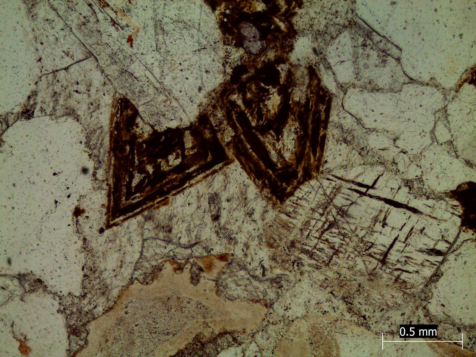 Rapid Uplift: Photomicrograph: Botryoidal Silica And Dolomite Cement In ...