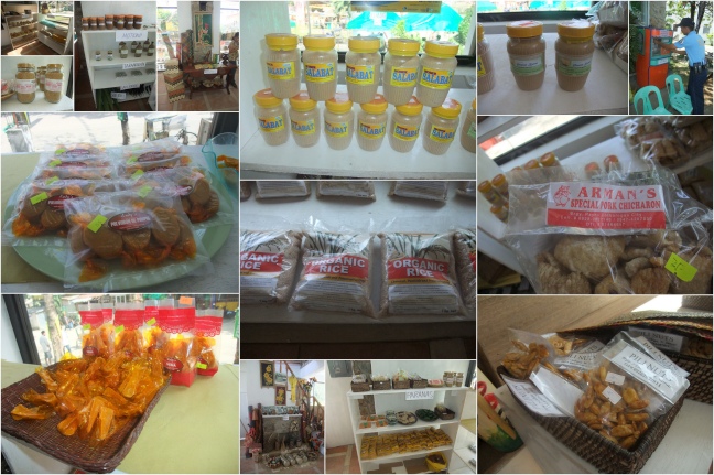 Samar Day 2011: The Showcase Center