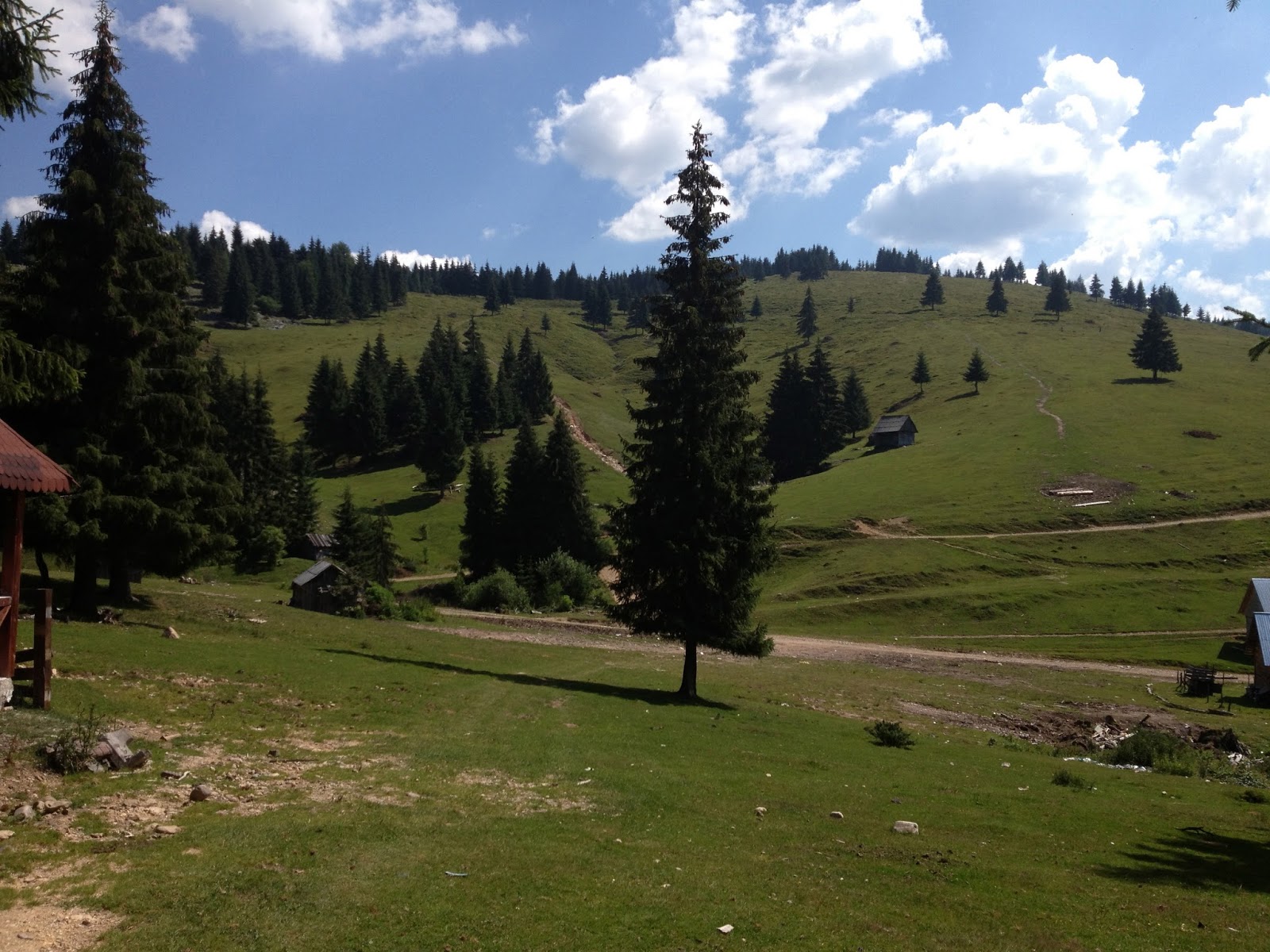 livstorm: Varful Bihor