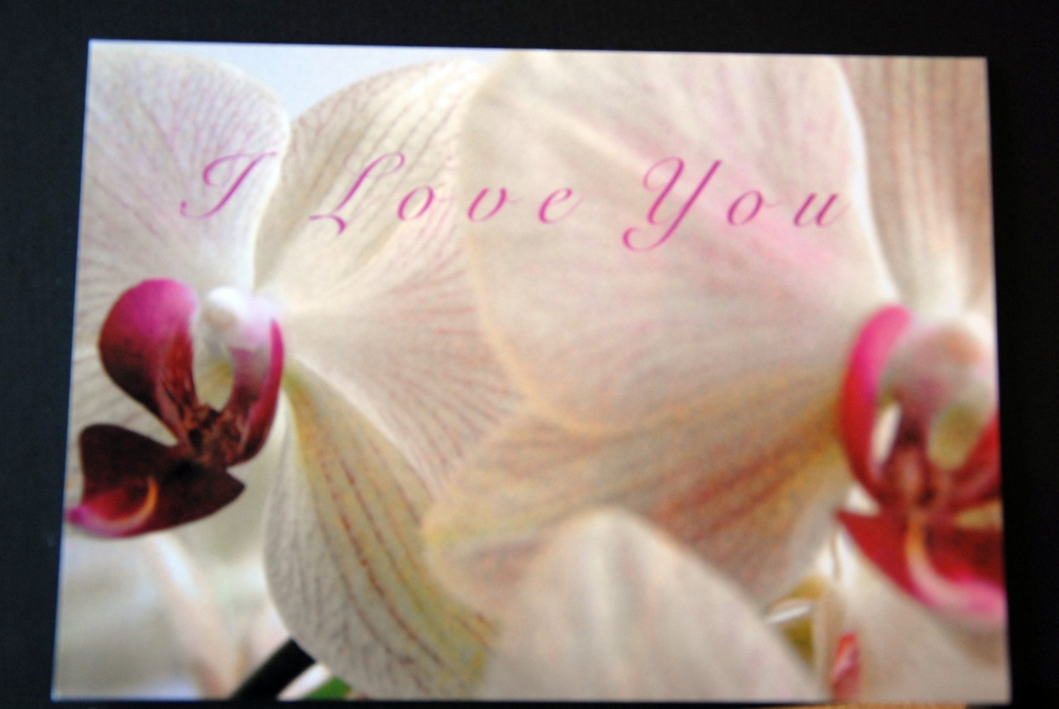 I Love You Greeting Cards For Wife I Love You Greeting Cards For Wife