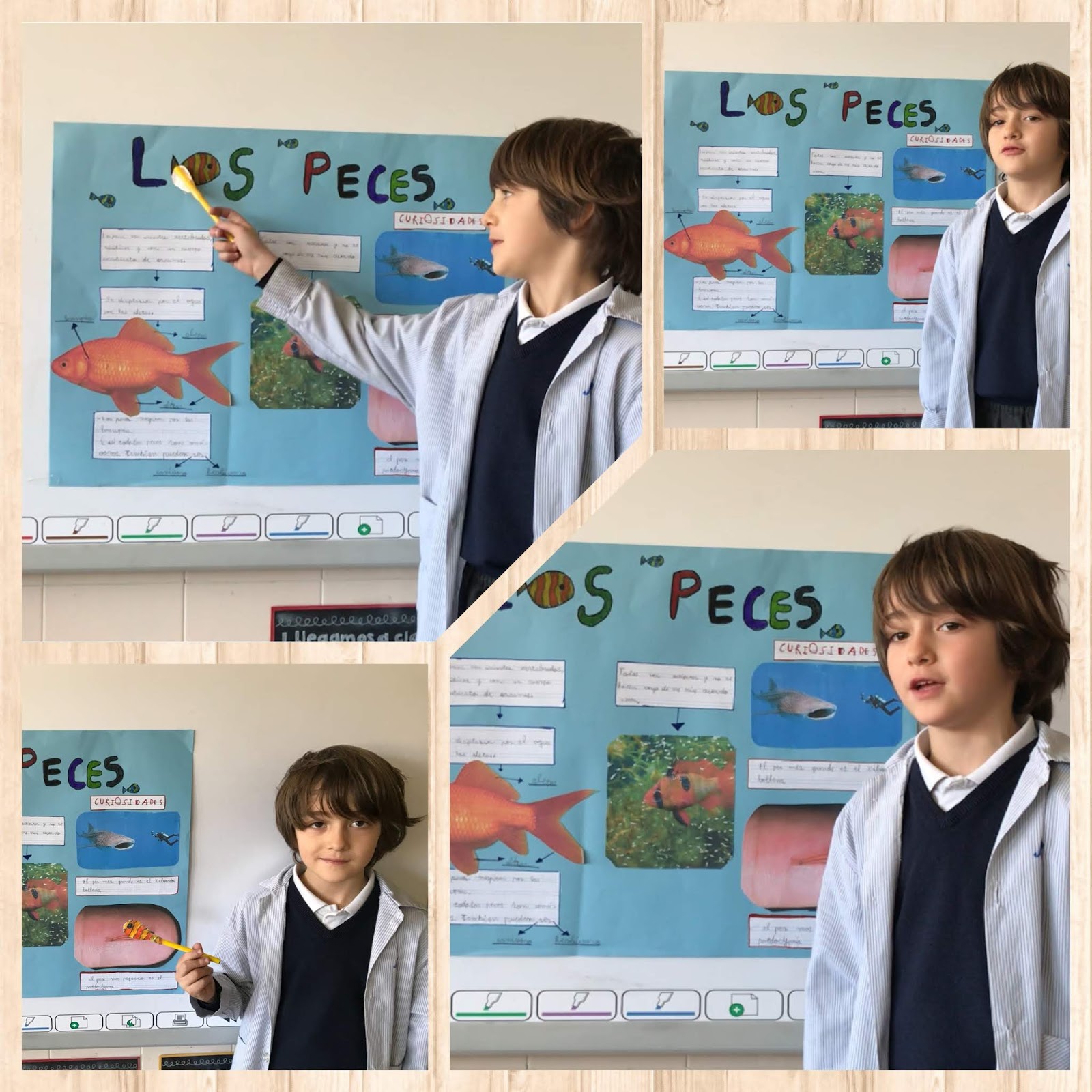 Aula de Virginia: Los peces