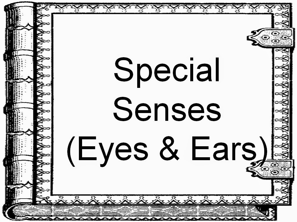 Student Survive 2 Thrive: Major Body System Functions Flash Cards