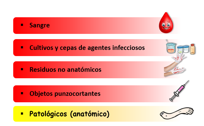 Centro Medico "Adolfo Lopez Mateos": ¿Qué es RPBI?