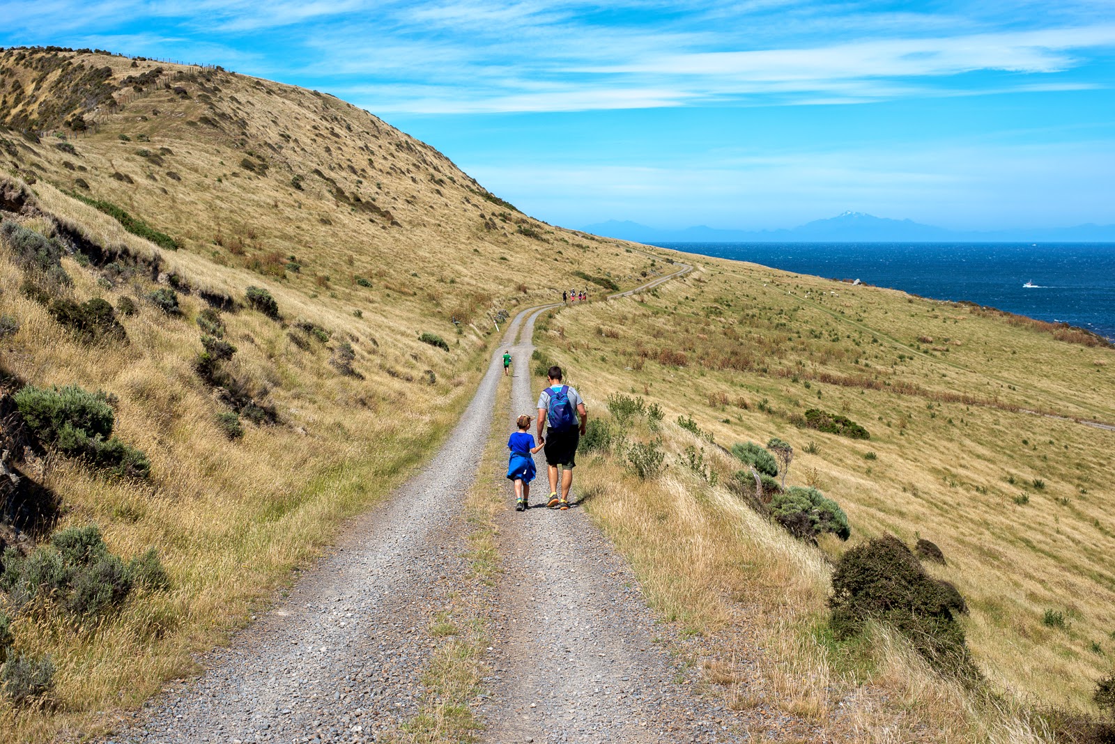 NZ Must Do: Adventures in Wellington - the walk to Baring Head ...