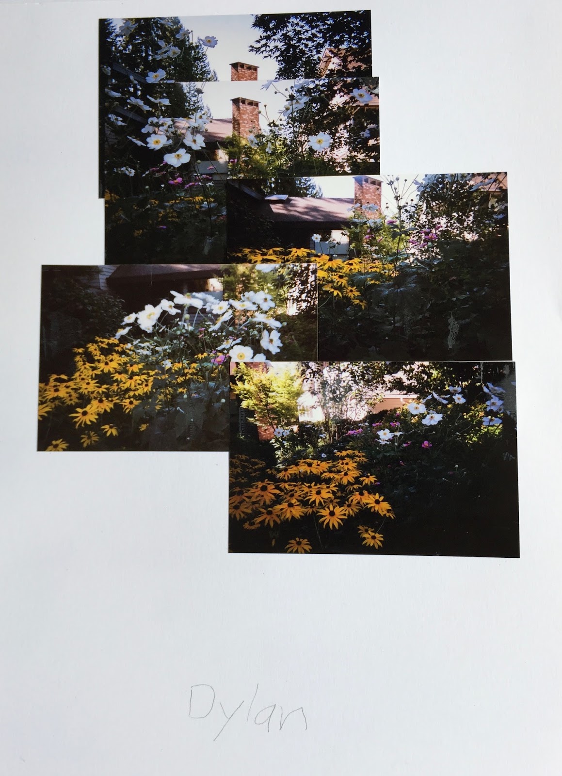 David Hockney Collage