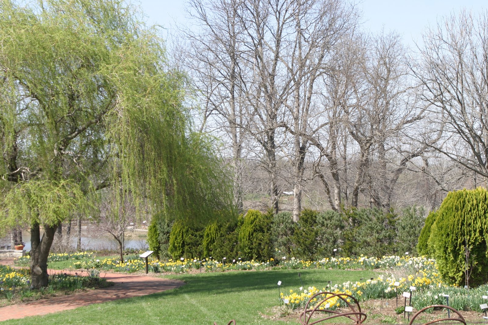 Powell Gardens' Blog: Spring Has Sprung!