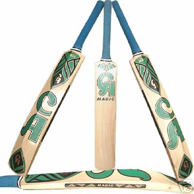 Aleda Costa: Best Cricket Bat Ever ...