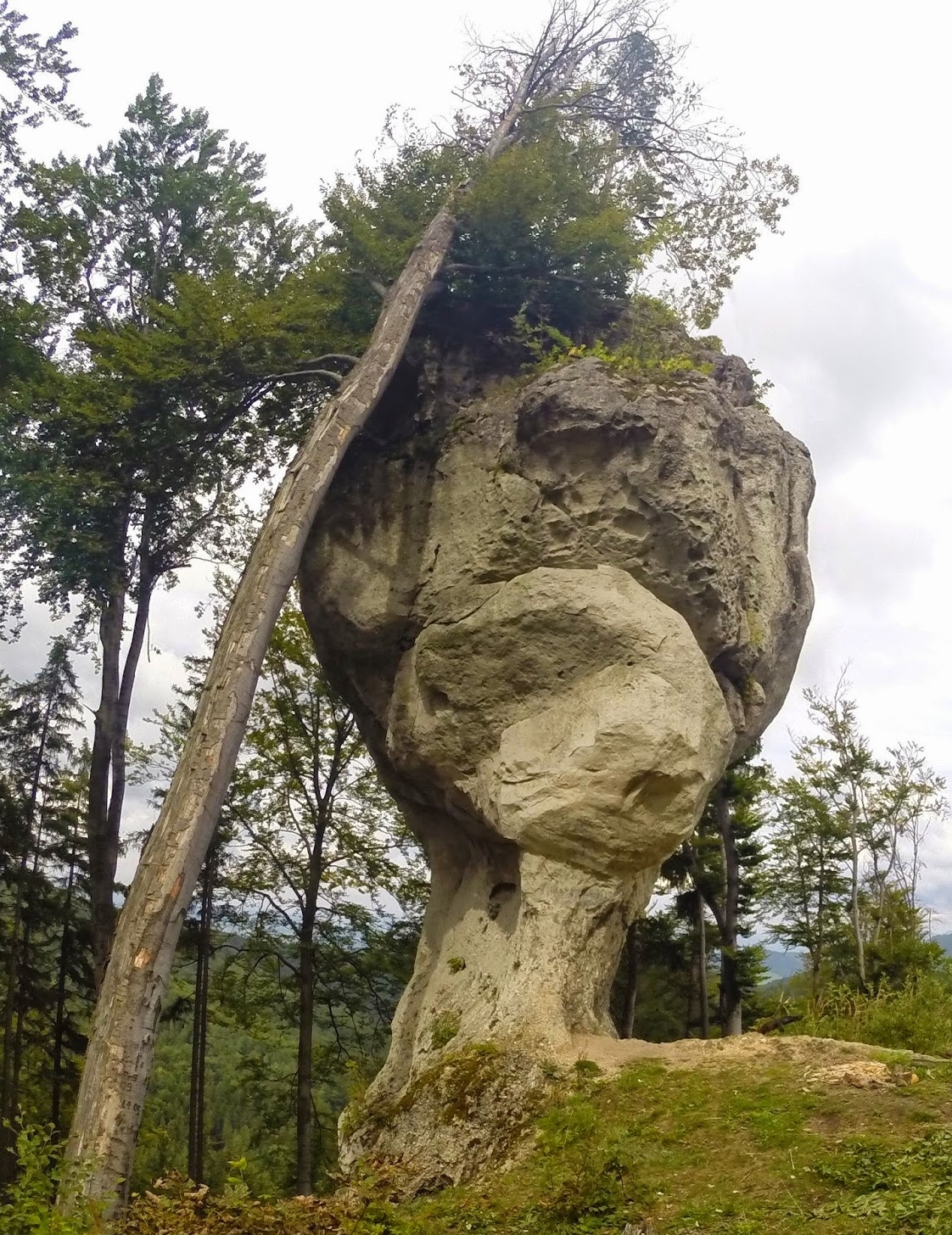 .: Skalný budzogáň, Hričovská skalná ihla, Prečínska ihla, Veľká ...