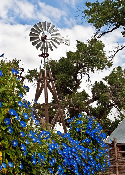 Two Men and a Little Farm: INSPIRATION THURSDAY, WINDMILL WITH FLOWERS