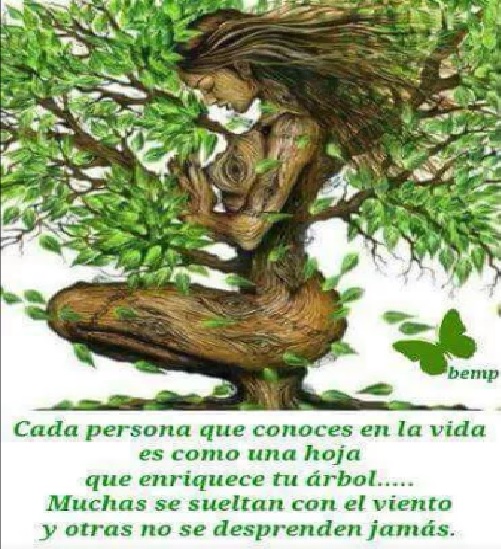 JUANA MACEDO, Frases, Reflexiones y algo más: Cada persona que conoces en la vida es como una ...