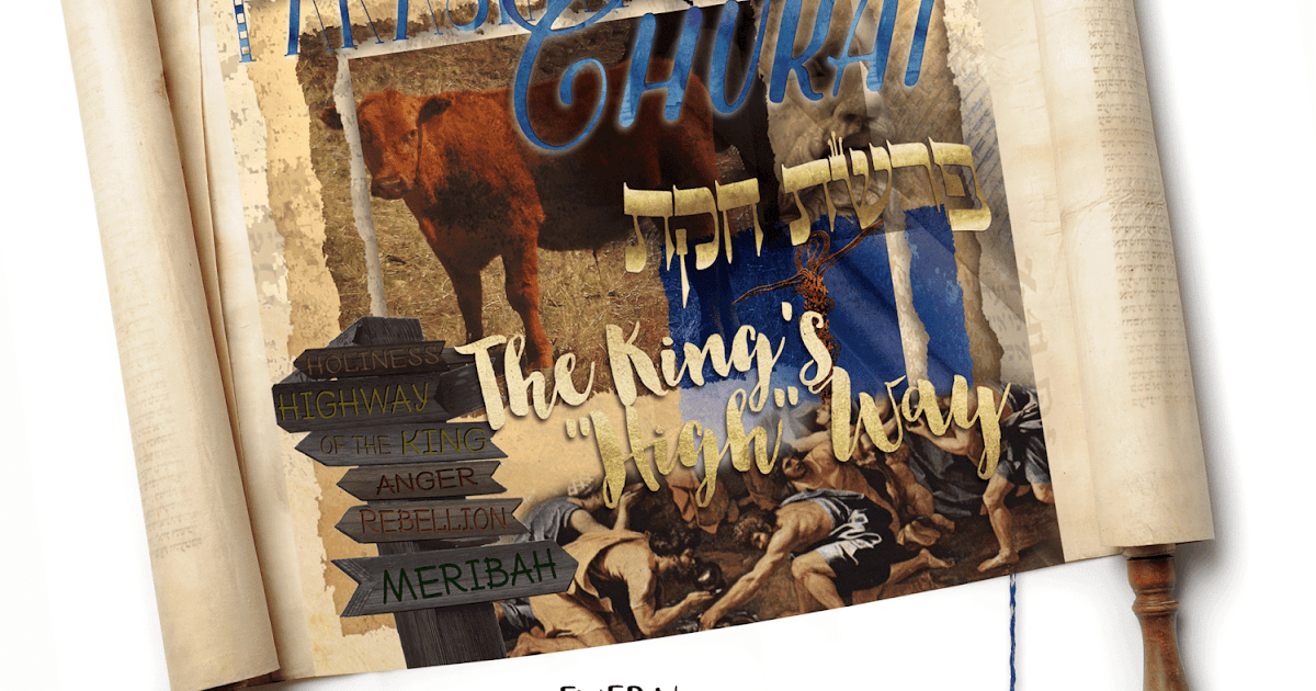 By His EVERY Word: The King’s “High” Way | Parashat Chukat | By His ...