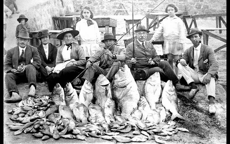 HERMANUS UNPUBLISHED: Historic pictures of the old fishing harbor of ...