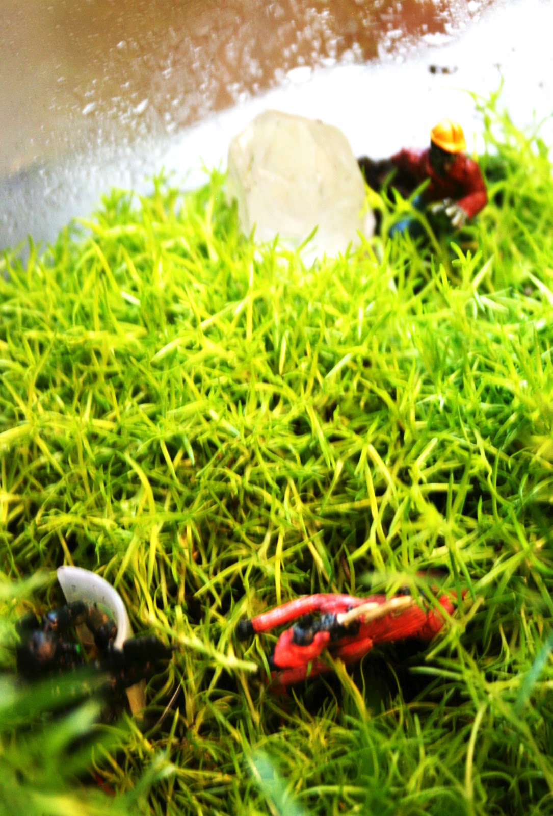 J Mcconnaughhay Design