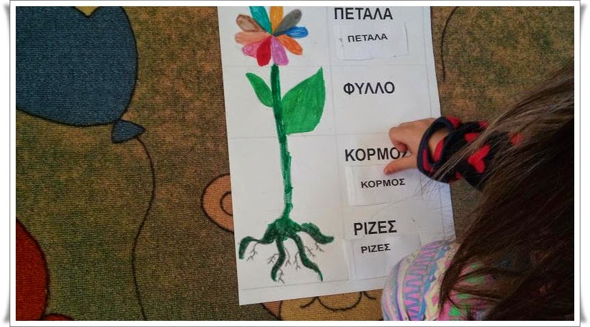 Χαρούμενες φατσούλες στο νηπιαγωγείο: ΤΑ ΜΕΡΗ ΤΟΥ ΛΟΥΛΟΥΔΙΟΥ