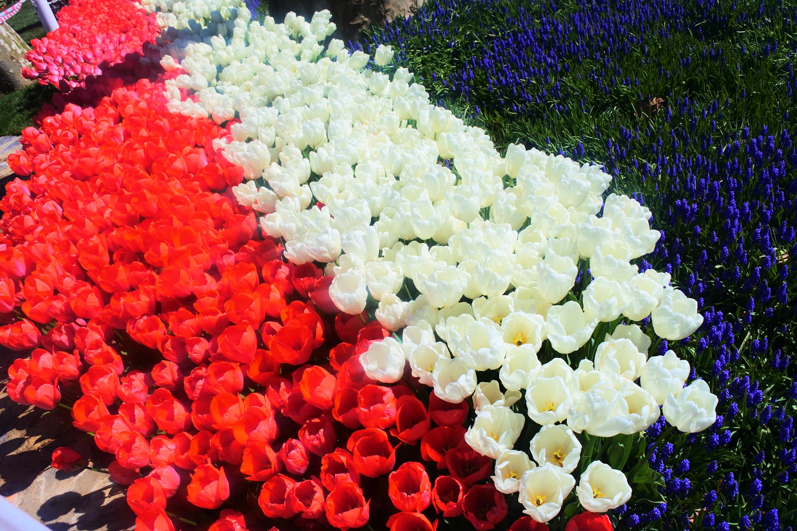 Jalan - jalan Turki 2016: Musim bunga di Istanbul ~ Alhamdulilah...di ...