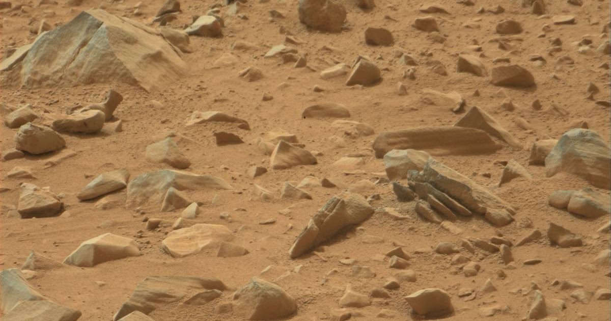 Curiosity revela imagens da vida em Marte, NASA nega tudo! ~ MUNDO EM ...