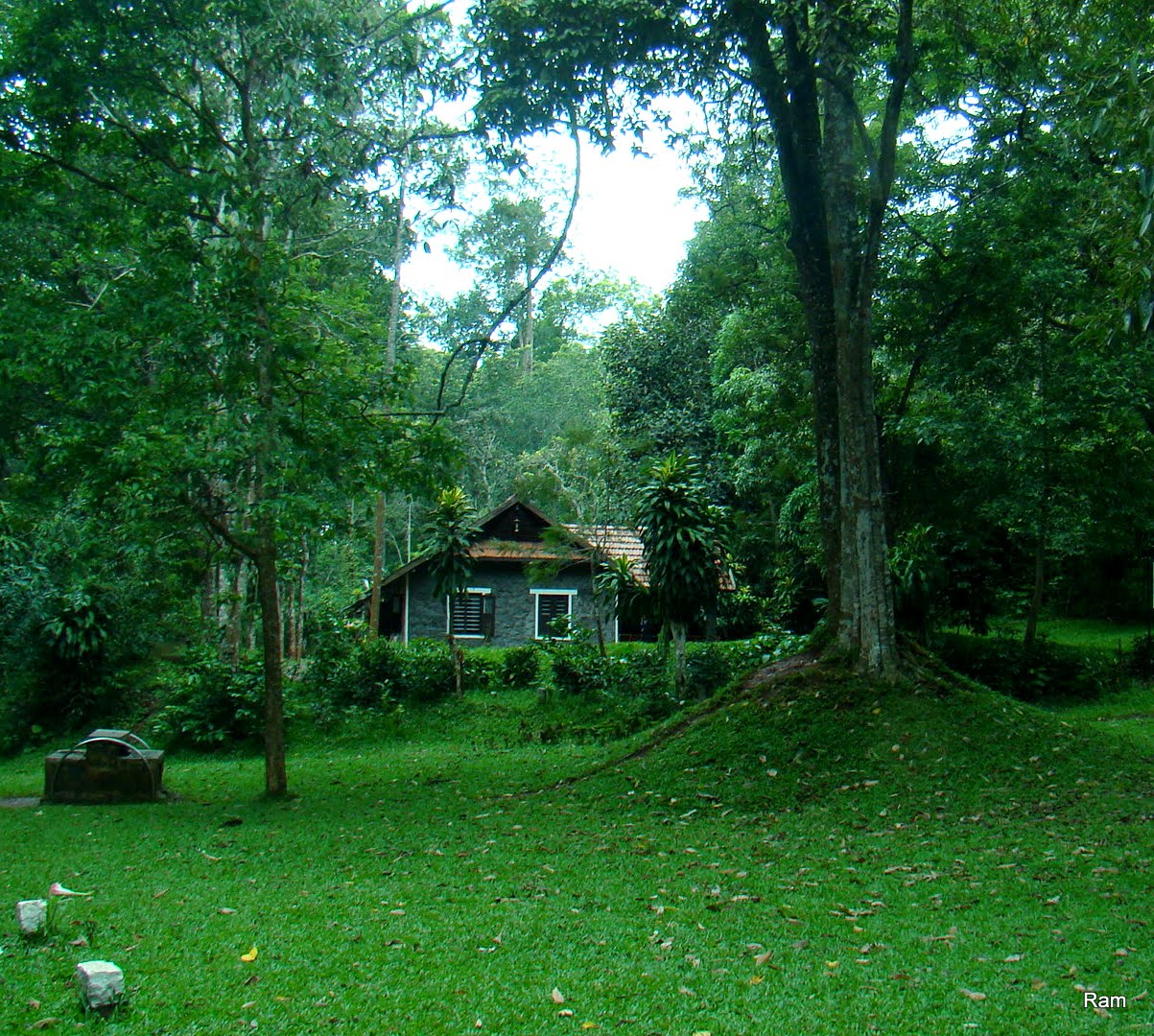 Say2daffodils: Gavi - Information about the place - Part 2