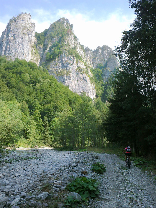 Toate Directiile: Olanesti - Cabana Cheia - Valea Cheii