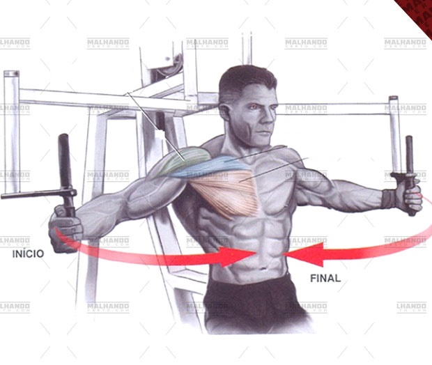 Tudo sobre Educação Física: 33° VOADOR ( PEITO MÉDIO )
