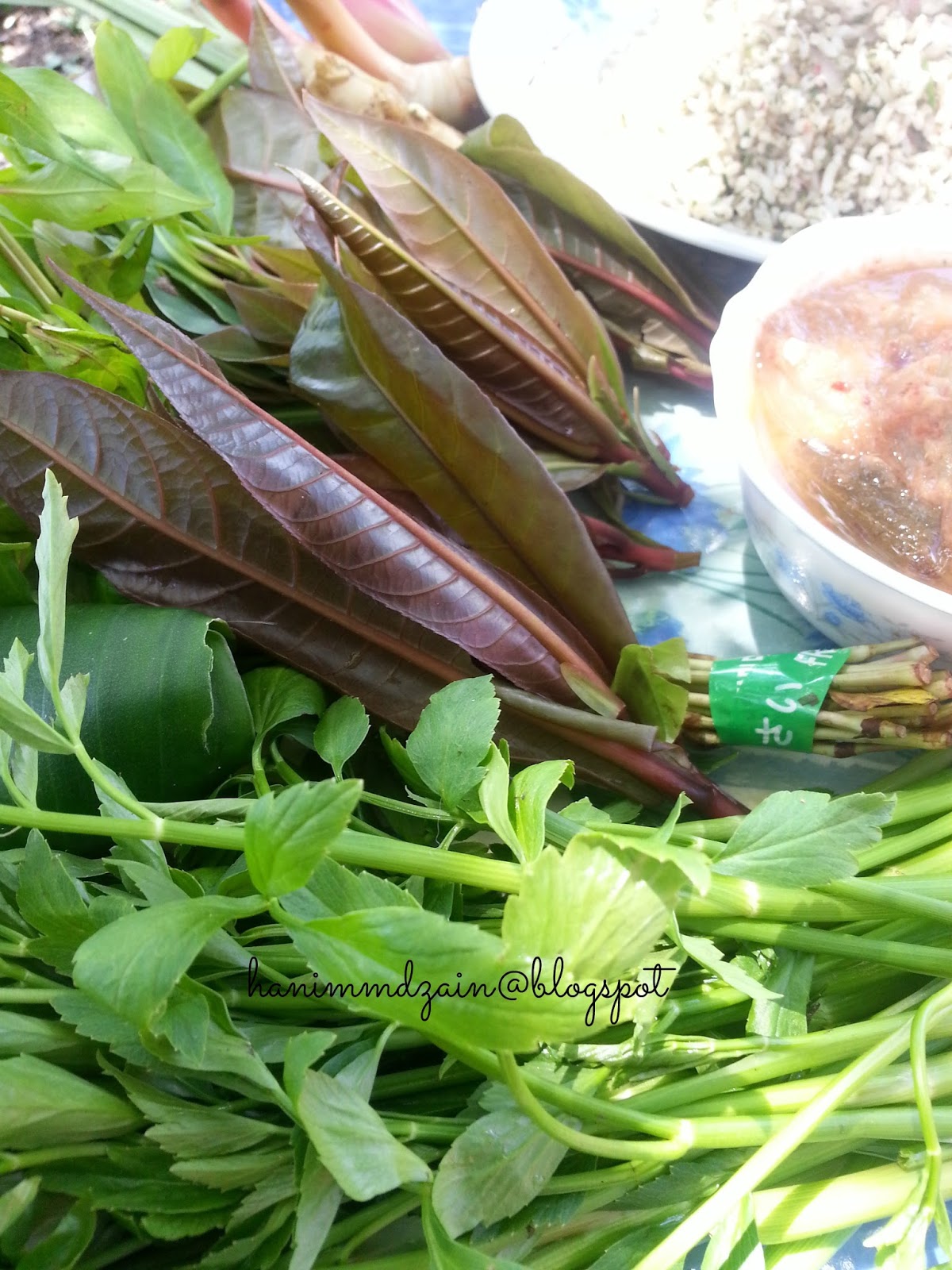 segalanya tentang kehidupan...: NASI ULAM SAYUR KELADI