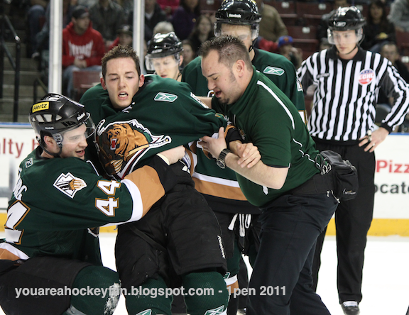 You are a Hockey Fan...you just don't know it yet.: A Week to Remember ...