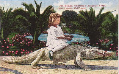 Louder and Funnier: Children Playing With Pet Alligators