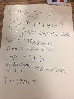 Lowcountry Learning: Chrysanthemum and The Secret Knowledge of Grownups