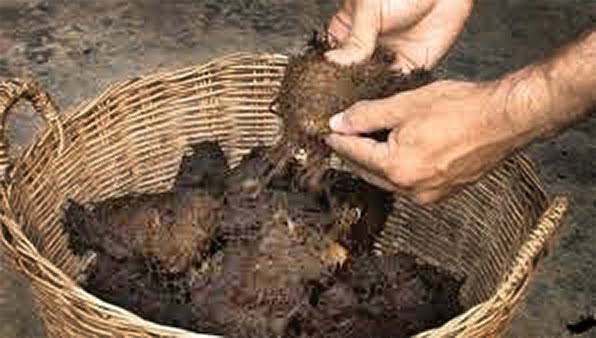 The Print Guide: Paper - from another most unusual and environmentally ...