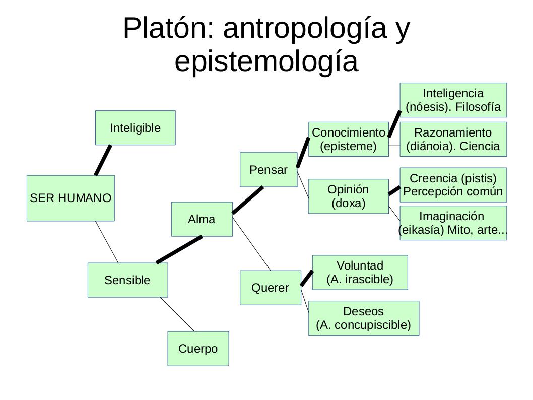 Historia De La Filosofía Para Cavernícolas Platón Ver Y Pensar