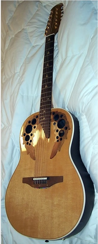 The Unique Guitar Blog: John Denver's Guitars