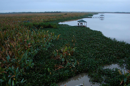 Parques Nacionales de la Argentina: Parque Nacional Río Pilcomayo