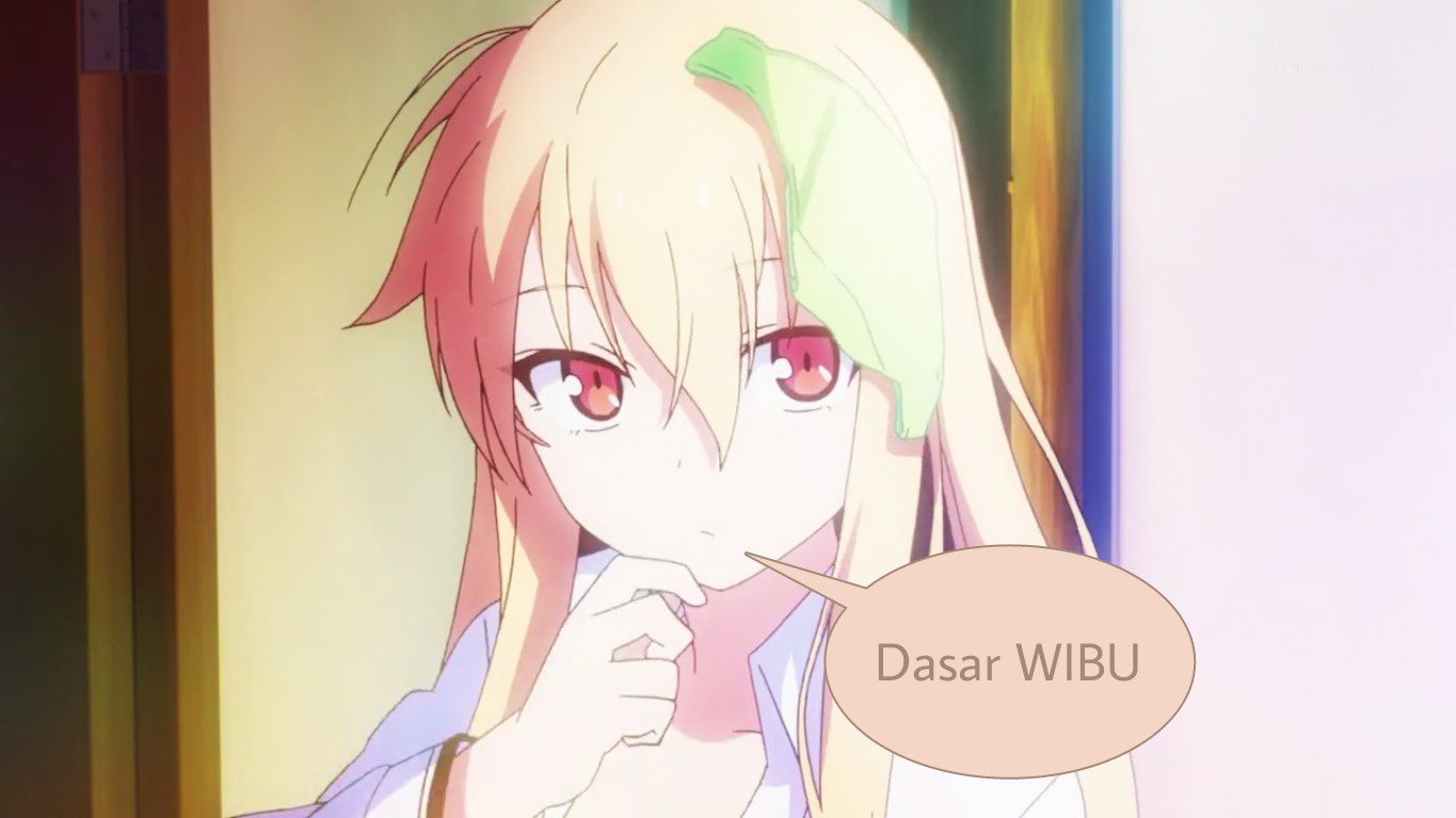 Fakta-Fakta Tentang Wibu | Playcrunch
