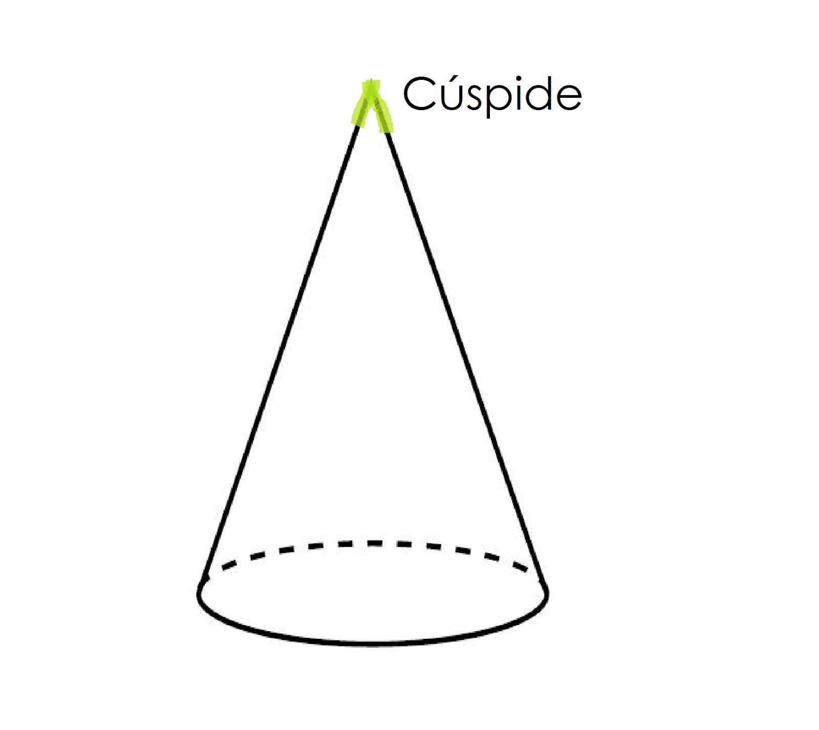 COSSOS GEOMÈTRICS: COSSOS RODONS