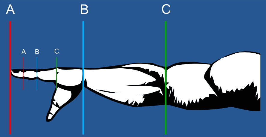 The Laughing Mathematician: Everything is Mathematical