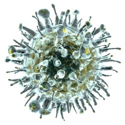 WIRUSY - ogólna charakterystyka ~ Wasze-Zdrowie