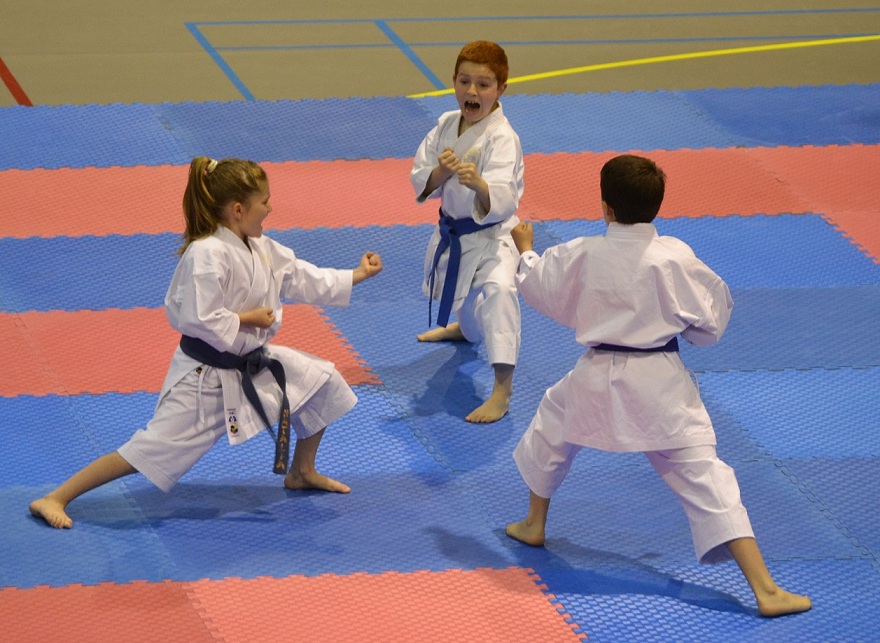 JOSÉ MANUEL MAYO ENTRENADOR PERSONAL: Katas de karate.