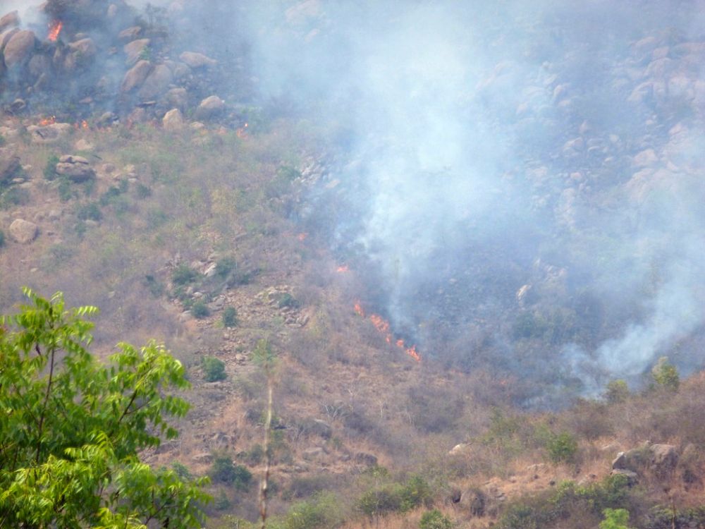 Fires on Arunachala - ARUNACHALA GRACE