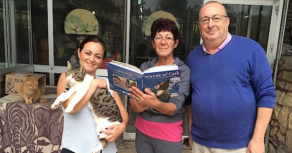 Malta & Gozo - Islands of Cats: One Year Later: Jane & Elaine of the ...