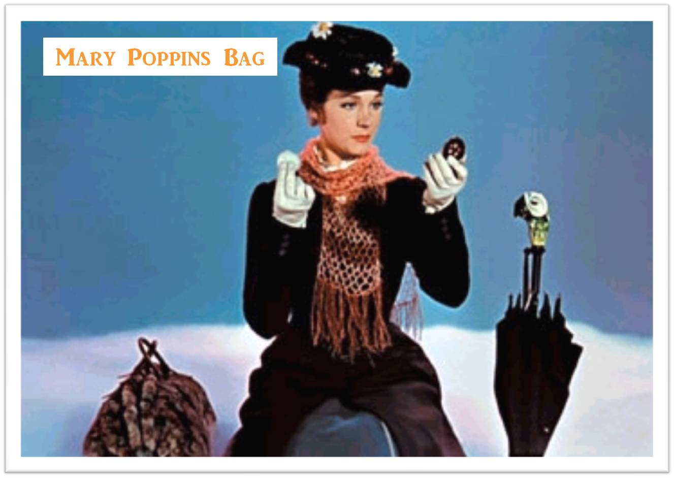 AnnChic: Mary Poppins Bag!