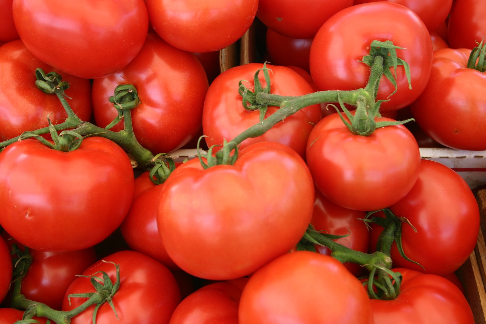 The British Tomato – Making Your Pasta Unbelievably Delicious - Fanatic ...